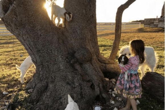 Meet Emmie Kay Gaines - Photos Of Joanna Gaines' Daughter With Husband ...