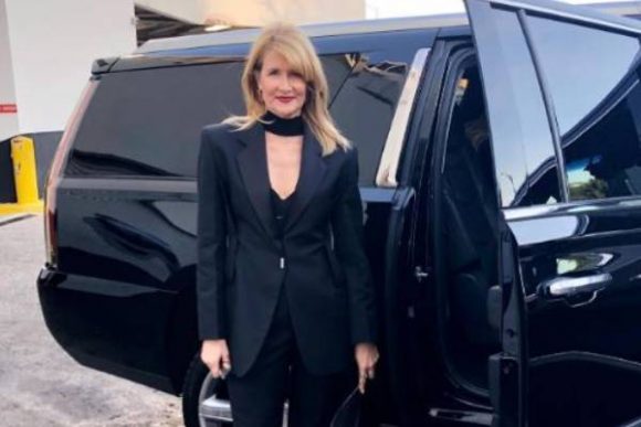 Laura Dern Net Worth - Income And Earnings From Her Career As An ...