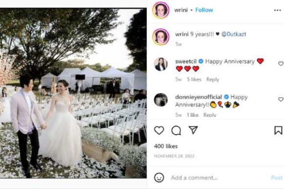 Donnie Yen's Sister-in-Law and Cissy Wang's Sister Irene Wang Is Also A Celeb | eCelebrityMirror