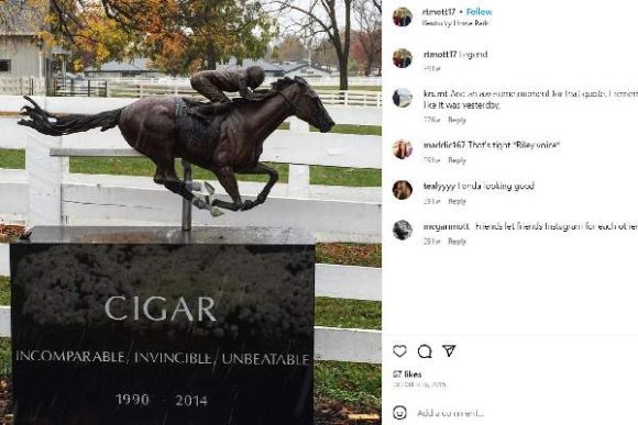 Understanding the Horse-Human Bond:Trainer William Mott's Insight ...